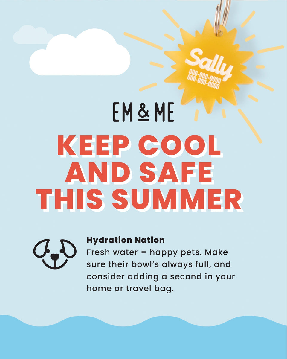 Keep Your Pet Cool & Safe This Summer: Em & Me Summer Tips – Em & Me Studio